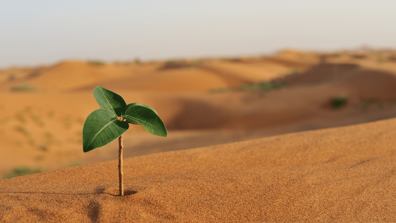 Comprendre la blessure d'abandon - Morgan Austin